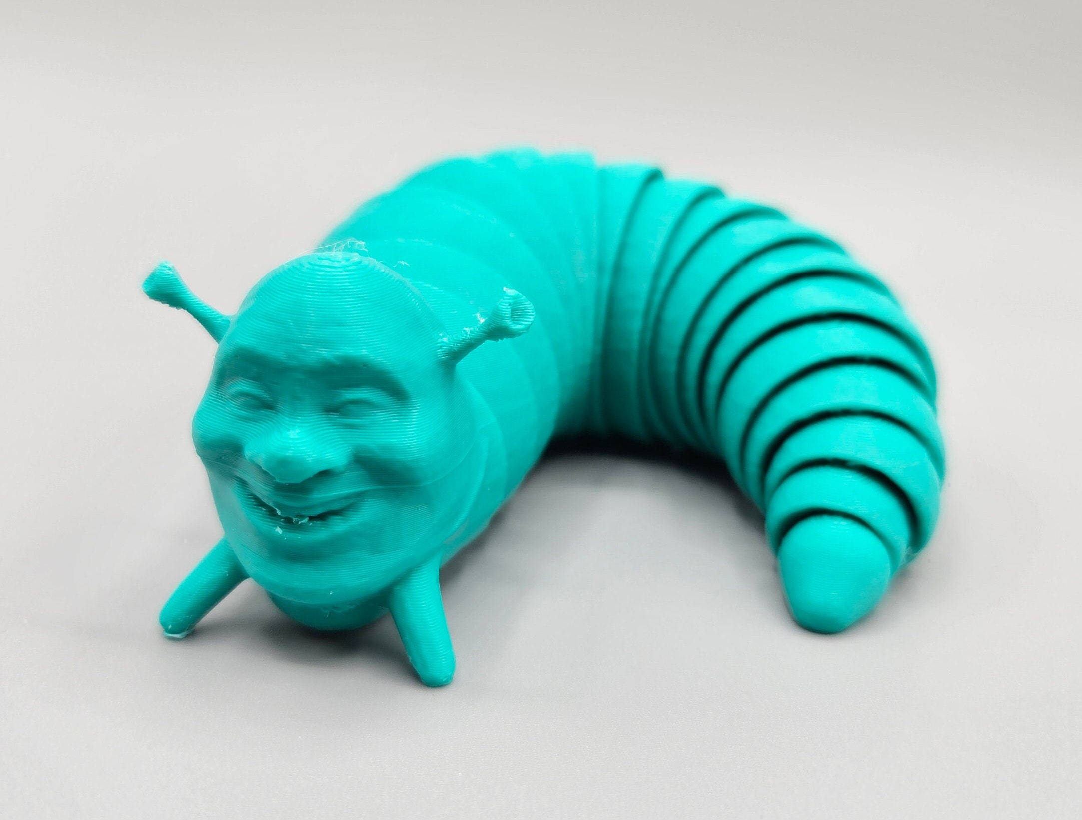 Shrek Fidget Slug Articulated Slug / Gag Gift / 3D Printed / Kids Toy ...