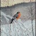 Set of Eight Bird and Botanical Winter Themed Holiday Cards - Etsy