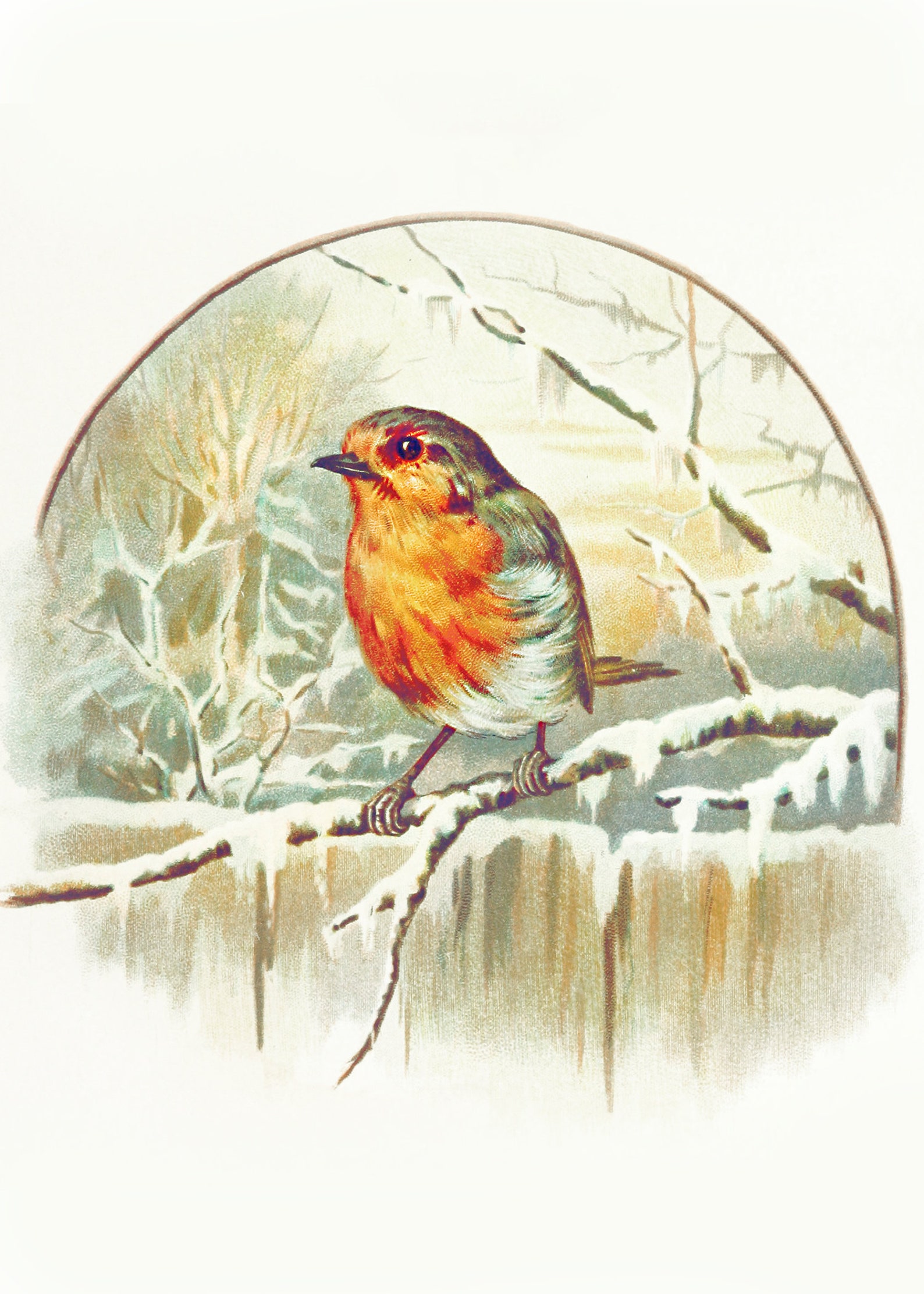 Set of Eight Bird and Botanical Winter Themed Holiday Cards - Etsy