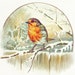 Set of Eight Bird and Botanical Winter Themed Holiday Cards - Etsy
