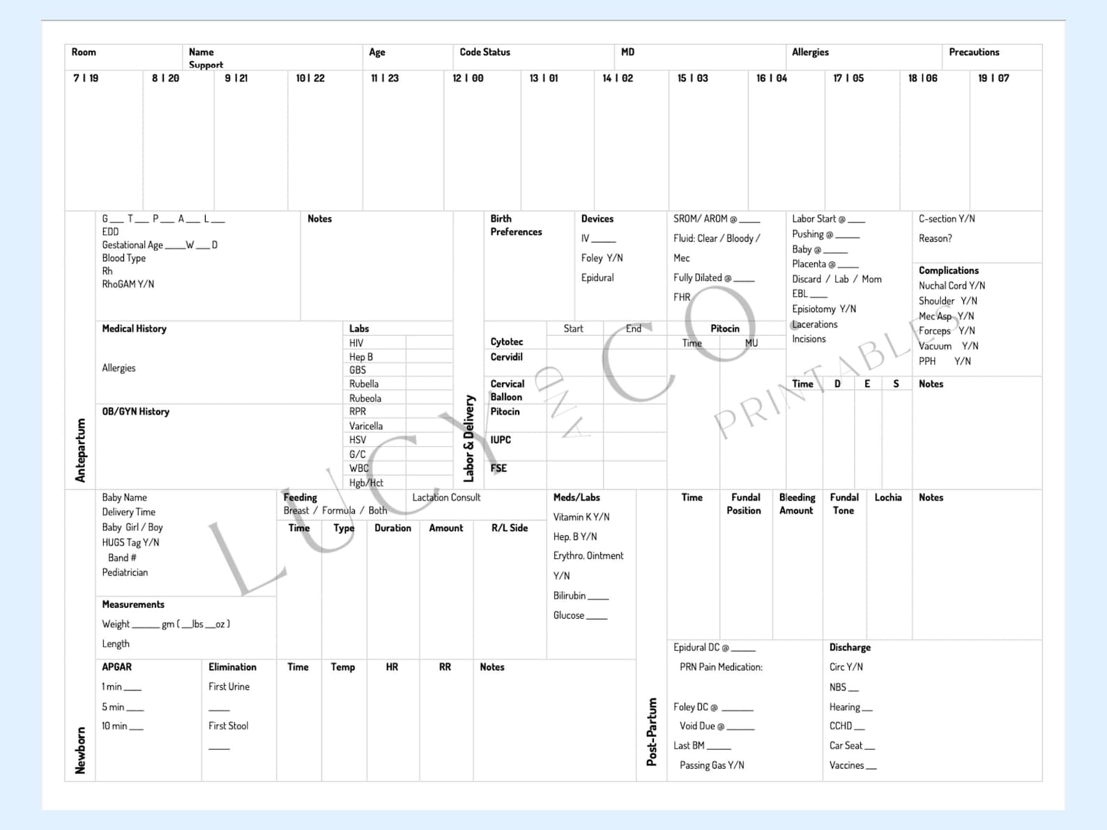 Labor and Delivery Nurse Report Sheet | 1-2 Patients | Printable ...