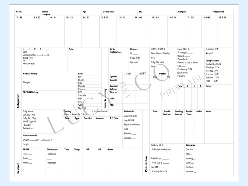 Labor and Delivery Nurse Report Sheet | 1-2 Patients | Printable ...