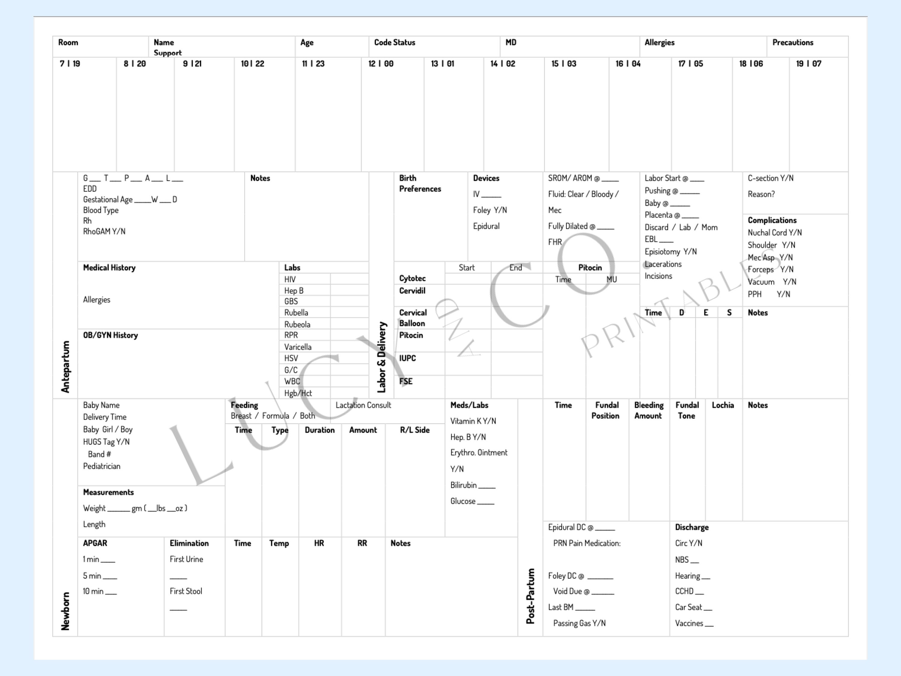 Labor and Delivery Nurse Report Sheet | 1-2 Patients | Printable ...