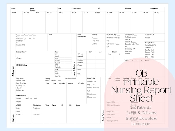 Labor And Delivery Report Sheet