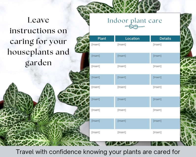 House Sitter Instructions Template, Editable Canva House Sitter ...