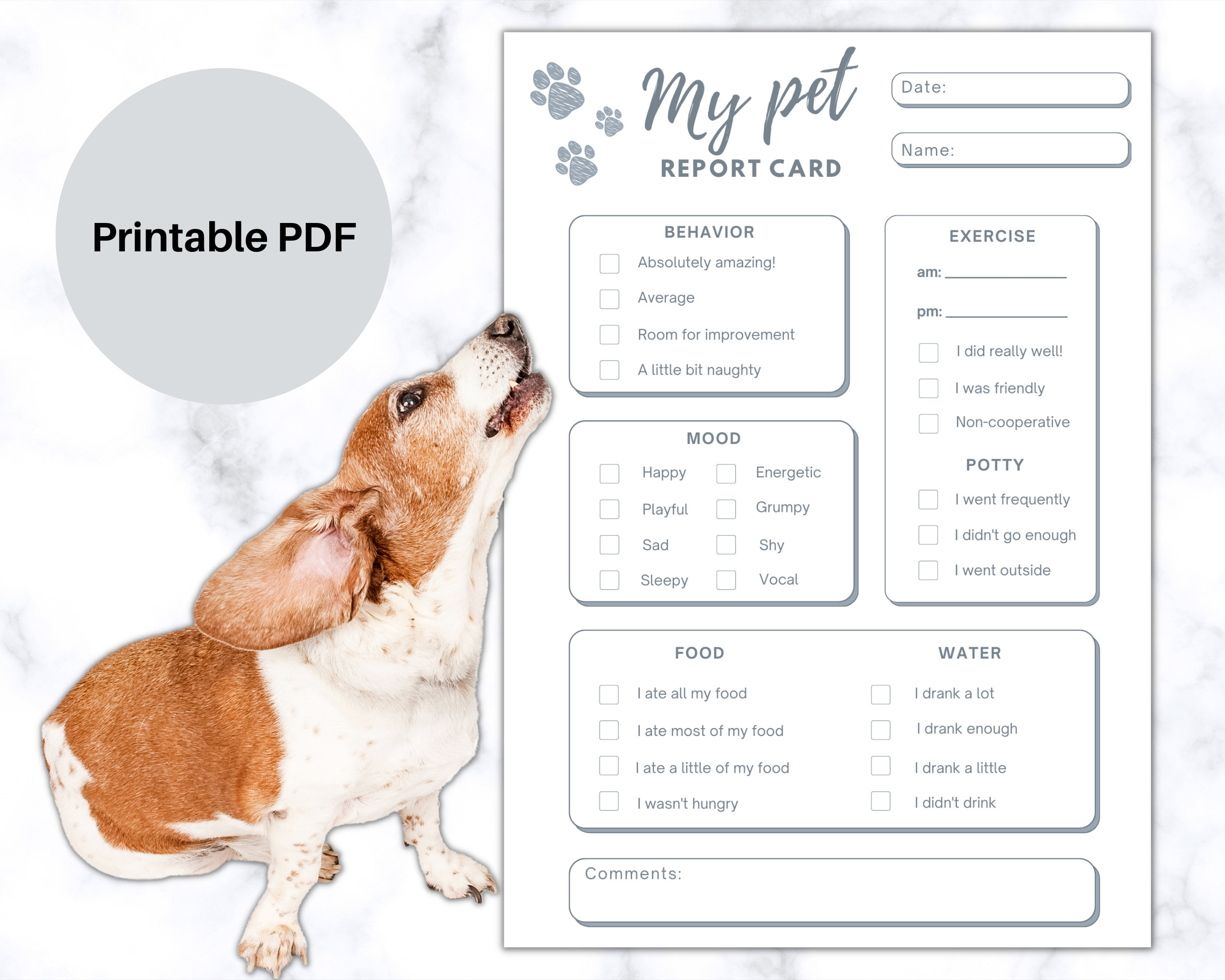 Pet Report Card, Printable Pet Sitter Form, Dog Walker Report Form, Pet ...