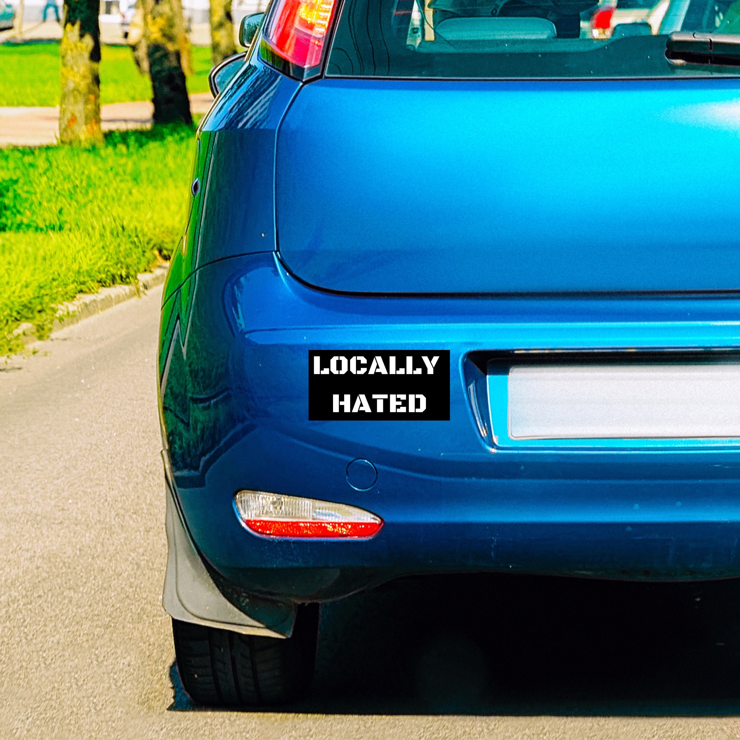 Locally Hated | Funny Gen Z Ironic Meme Laptop Sticker | Bumper Sticker ...
