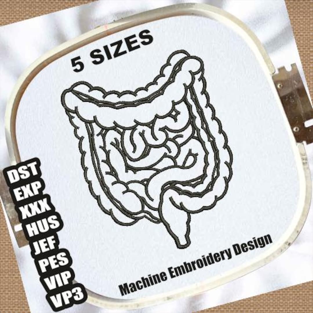 Human Intestine Machine Embroidery Designs | Intestine Anatomy ...