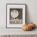 Lady Moon | Lunar Moth Print | Moody Wall Art | Dark Academia Art ...