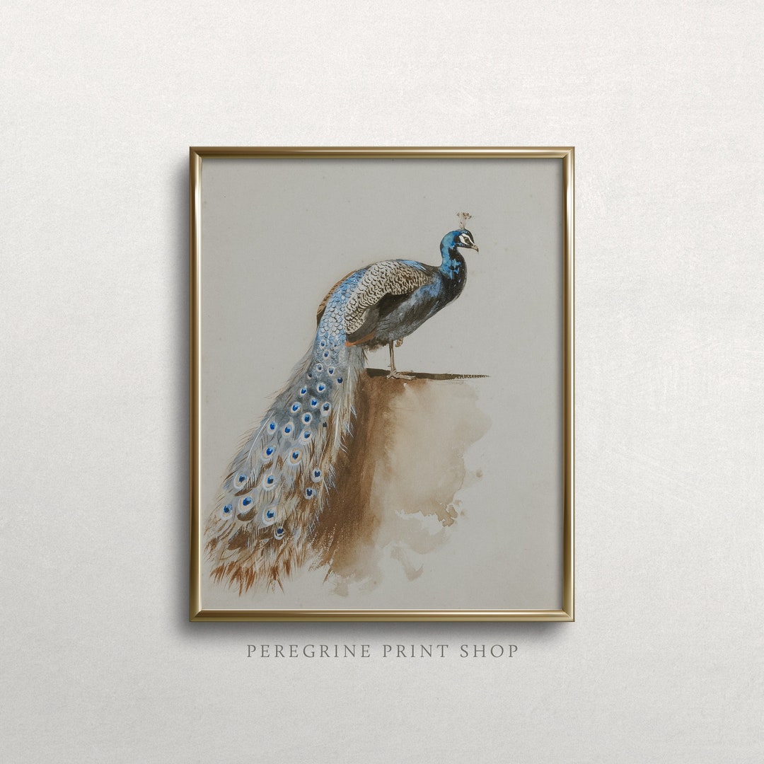 Pastel Peacock | Moody Wall Art | Eclectic Bird Art Print | Vintage ...