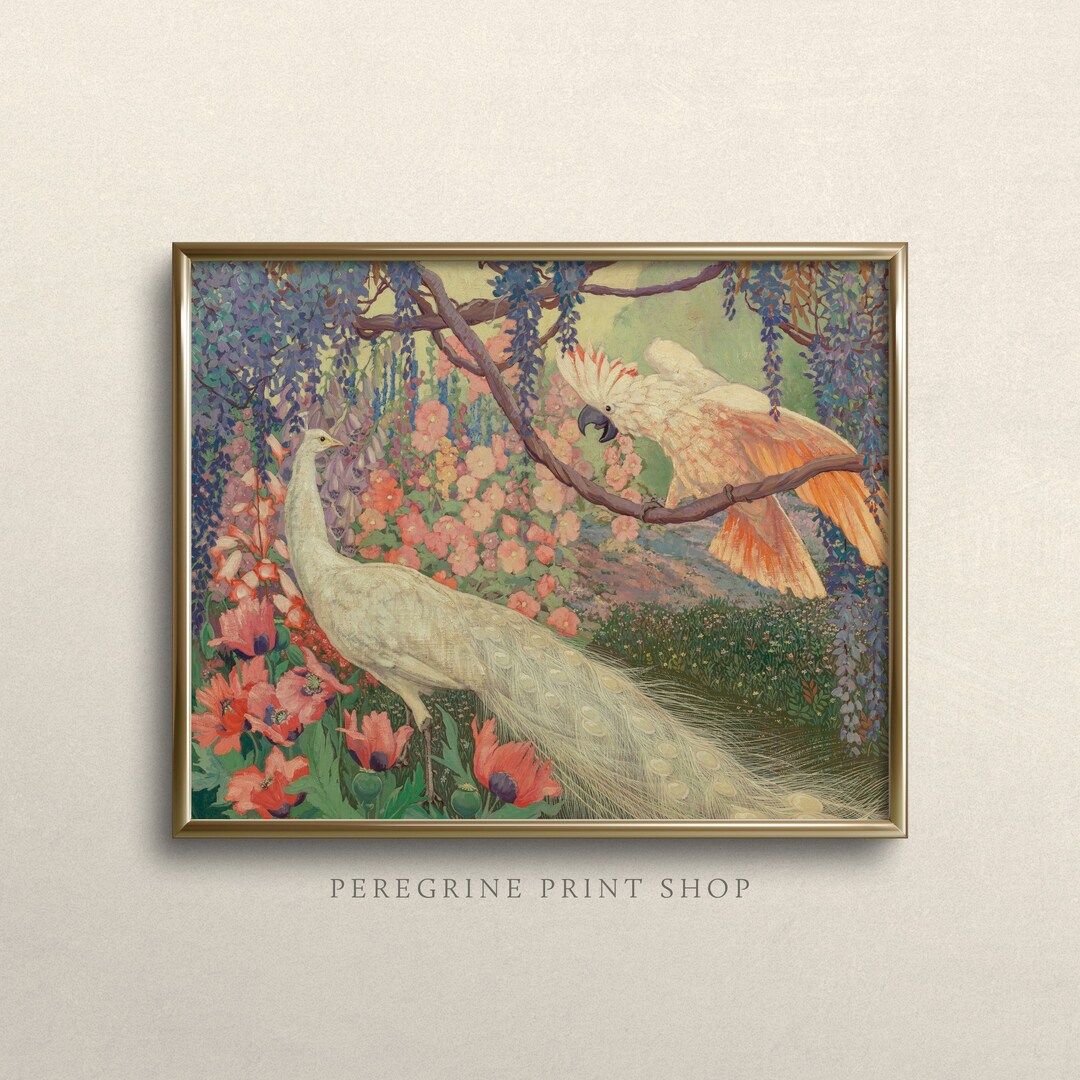 White Peacock and Pink Macaw | FINE ART PRINT | Unique Wall Art ...