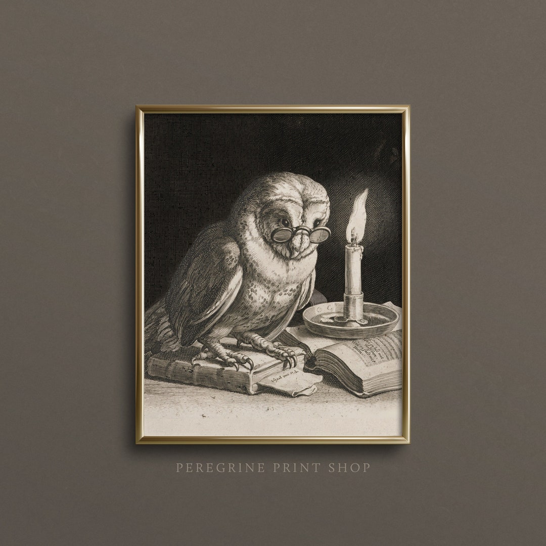 He That is Born a Fool is Never Cured by Cornelis Bloemaer | FINE ART ...