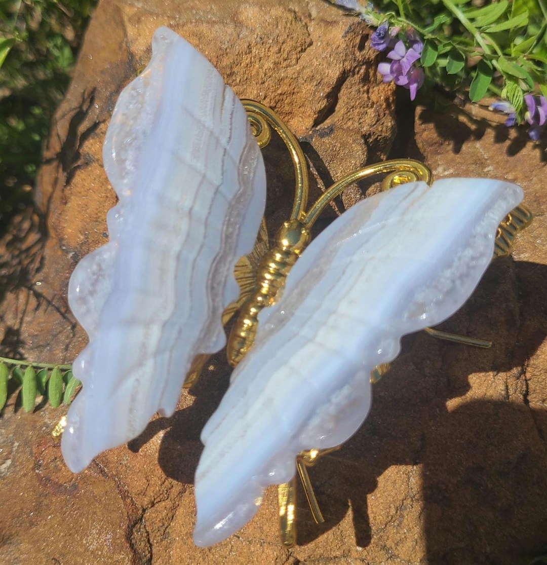 Blue Lace Butterfly - Etsy