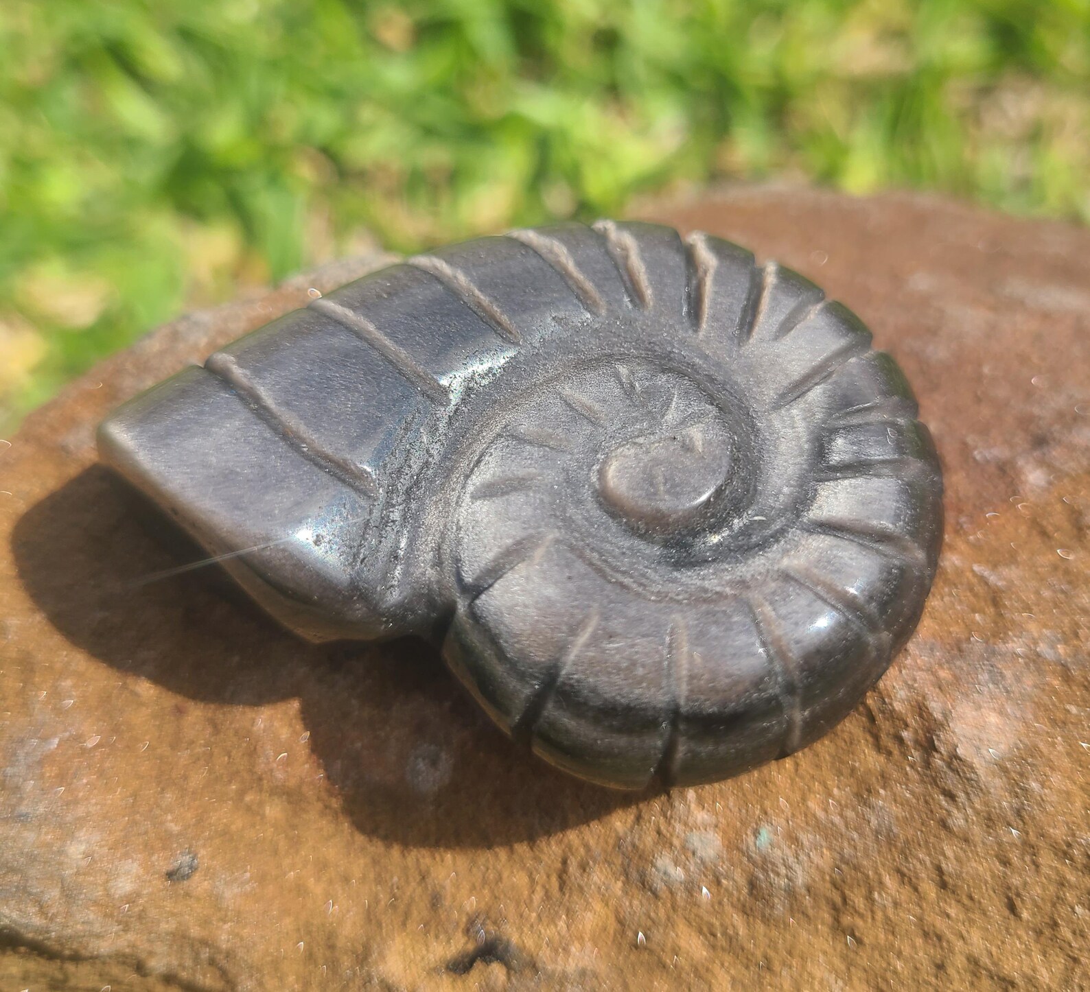 Silver Sheen Obsidian Snail Shell - Etsy
