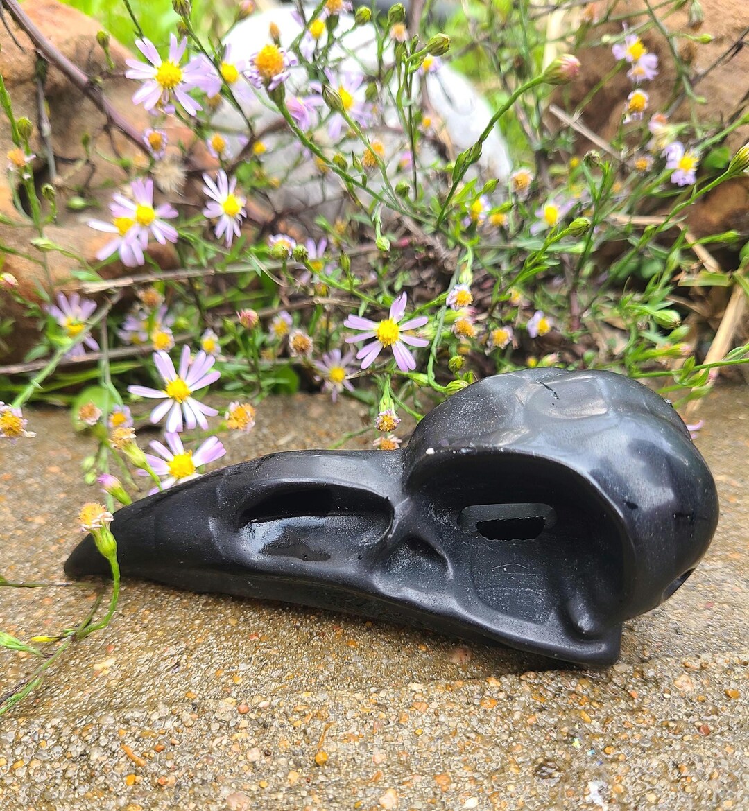 Black Obsidian Raven Skull - Etsy