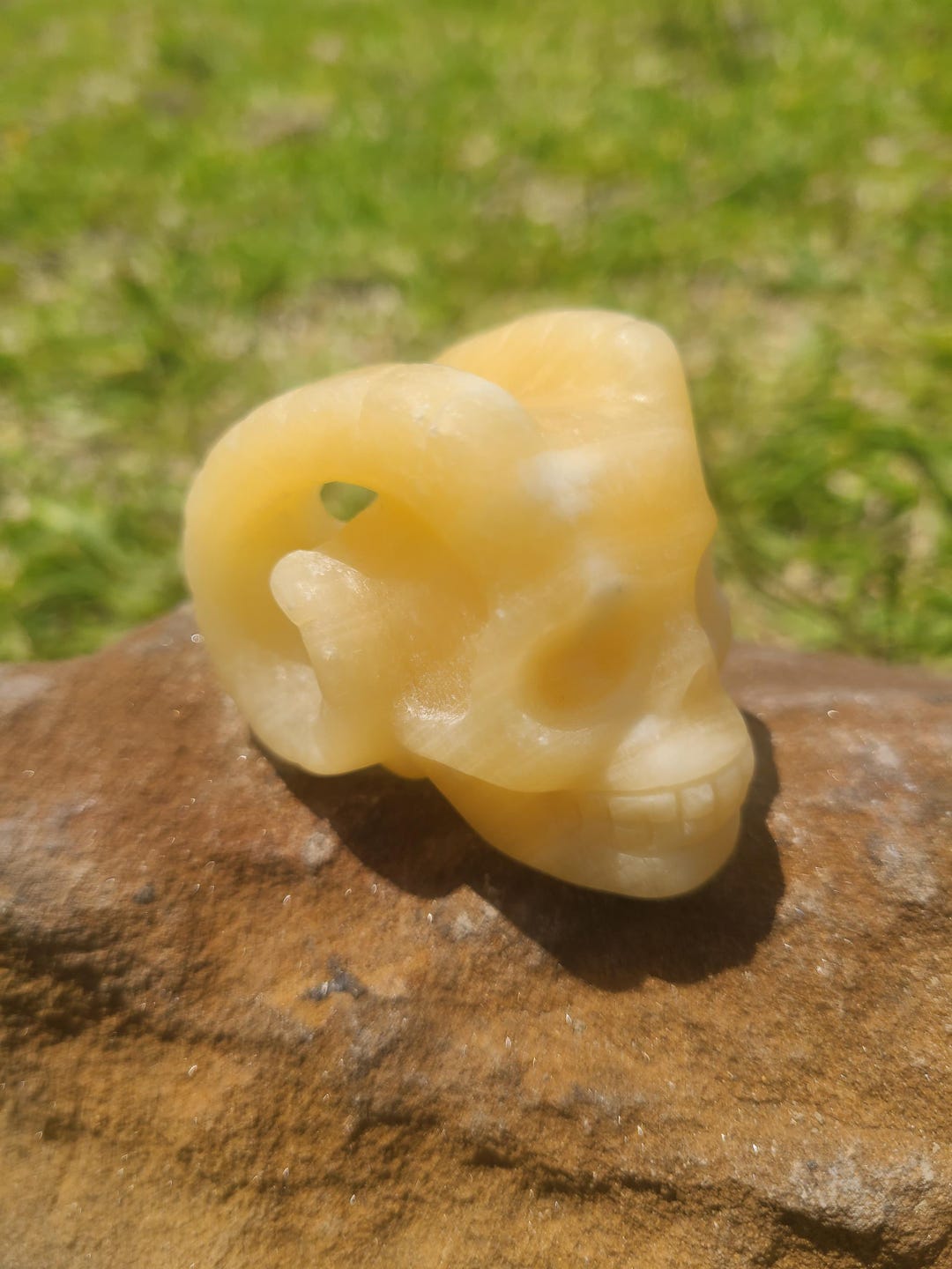 Yellow Calcite Skull With Ram Horns - Etsy