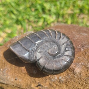 Silver Sheen Obsidian Snail Shell - Etsy
