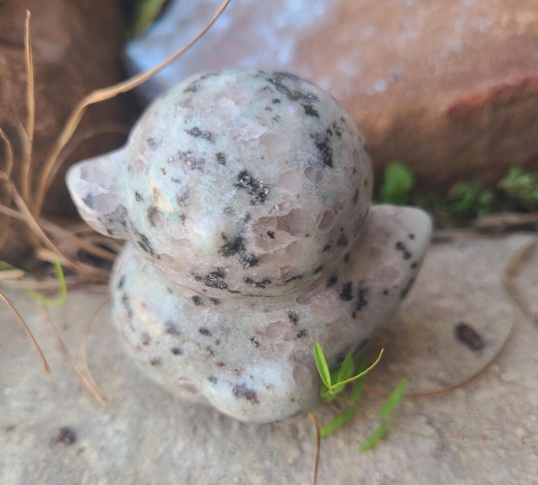 Kiwi Jasper Duck - Etsy