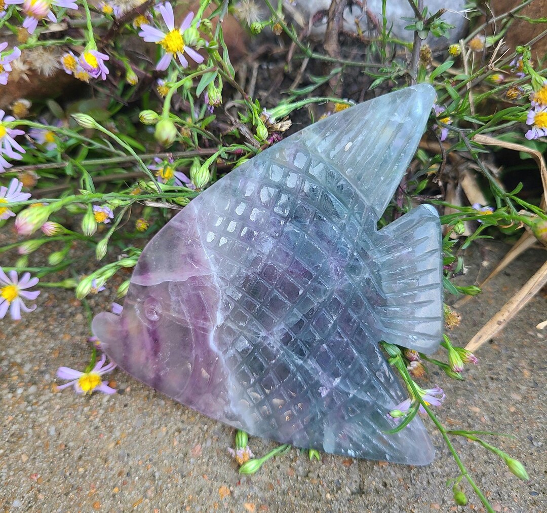 Fluorite Fish - Etsy