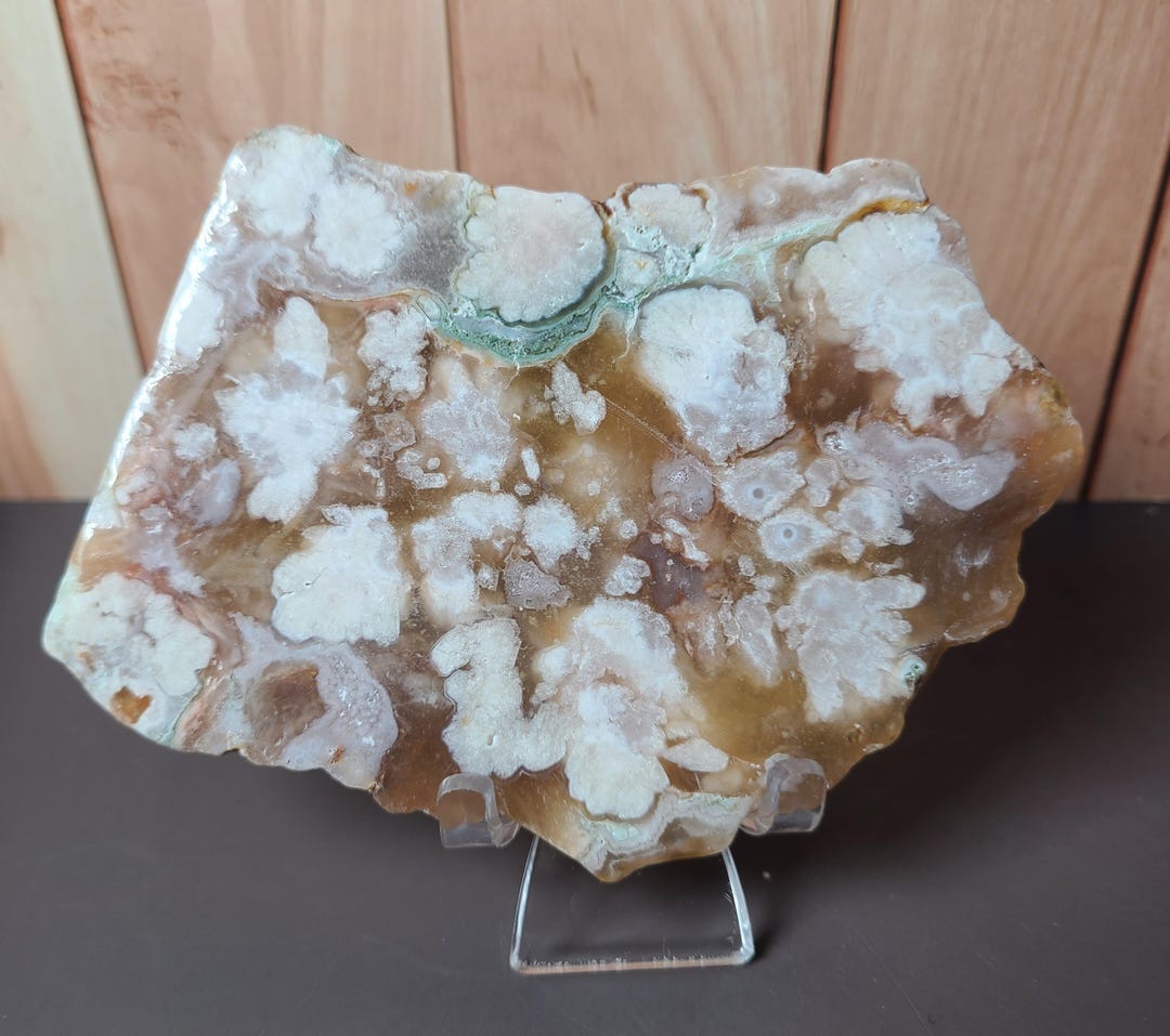 Flower Agate Slab - Etsy