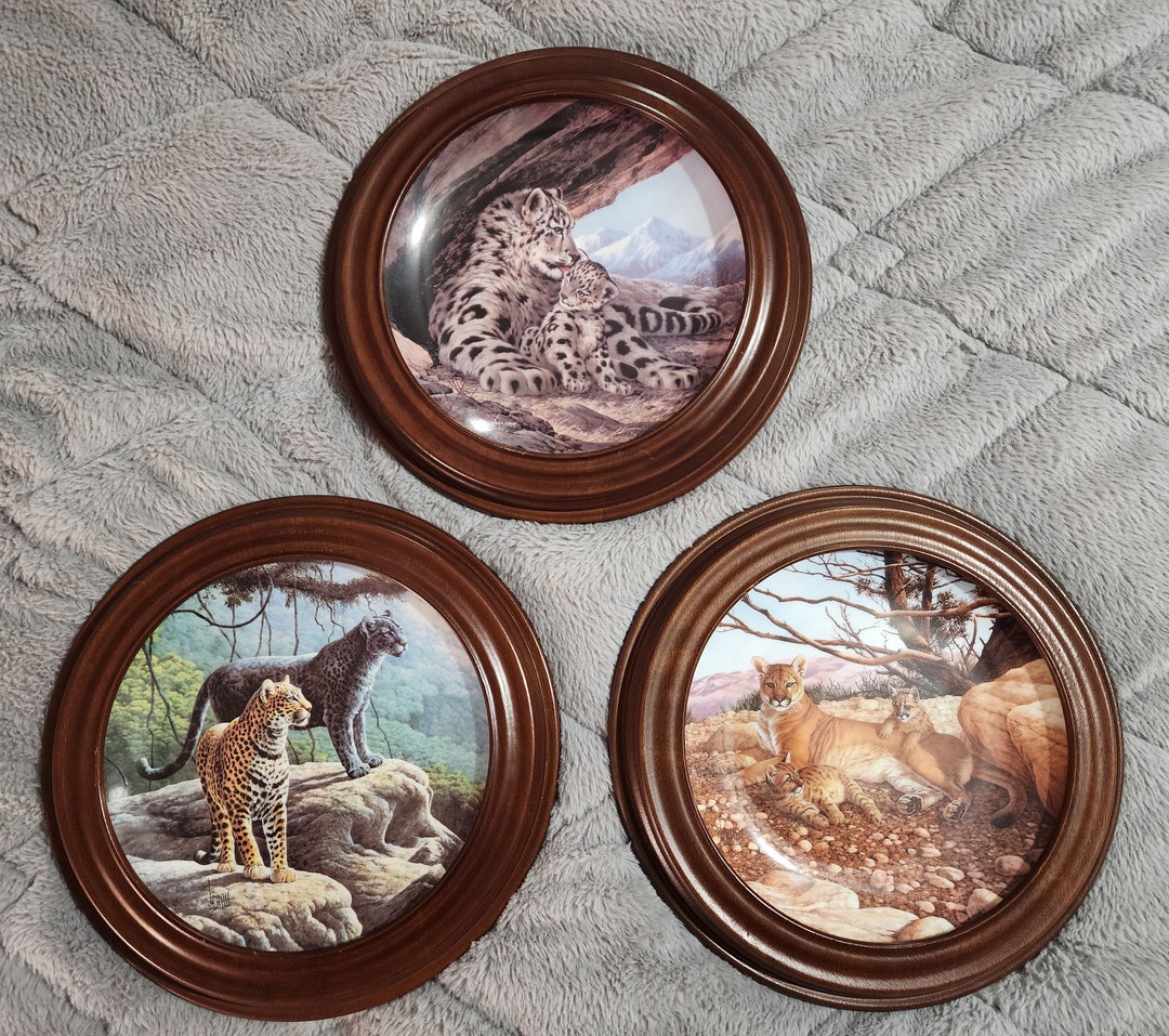 1989 Big Cats Collectors Plates - Set of 3 - Etsy