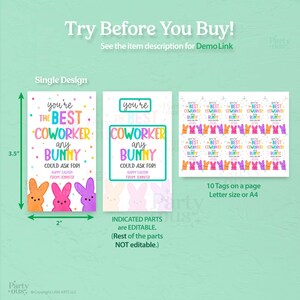 Editable Easter Gift Tags the Best Coworker Any Bunny Easter Basket Tag ...
