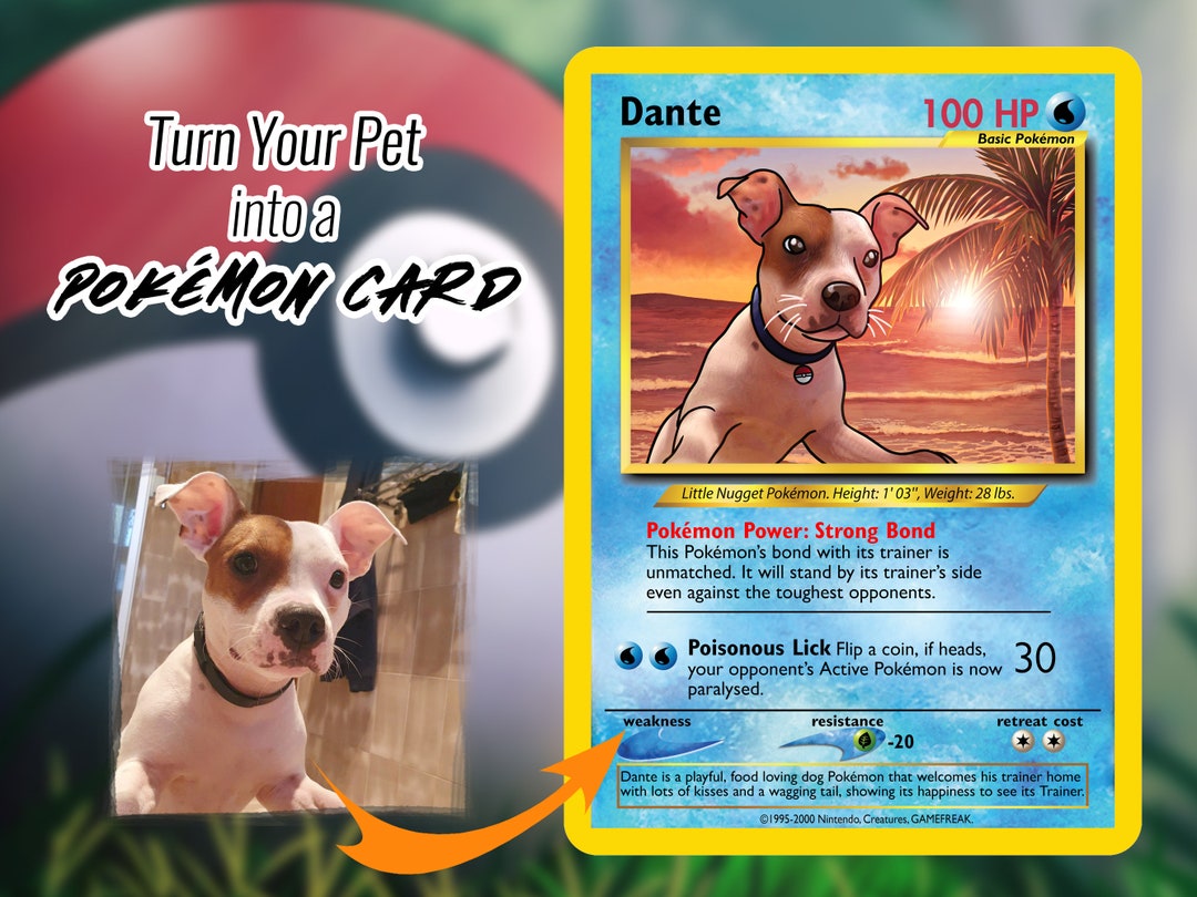Custom Pok mon Card Turn Your Pet Into A Pokemon Card Custom Etsy Custom Pok mon Card Turn Your Pet Into A Pokemon Card Custom Etsy