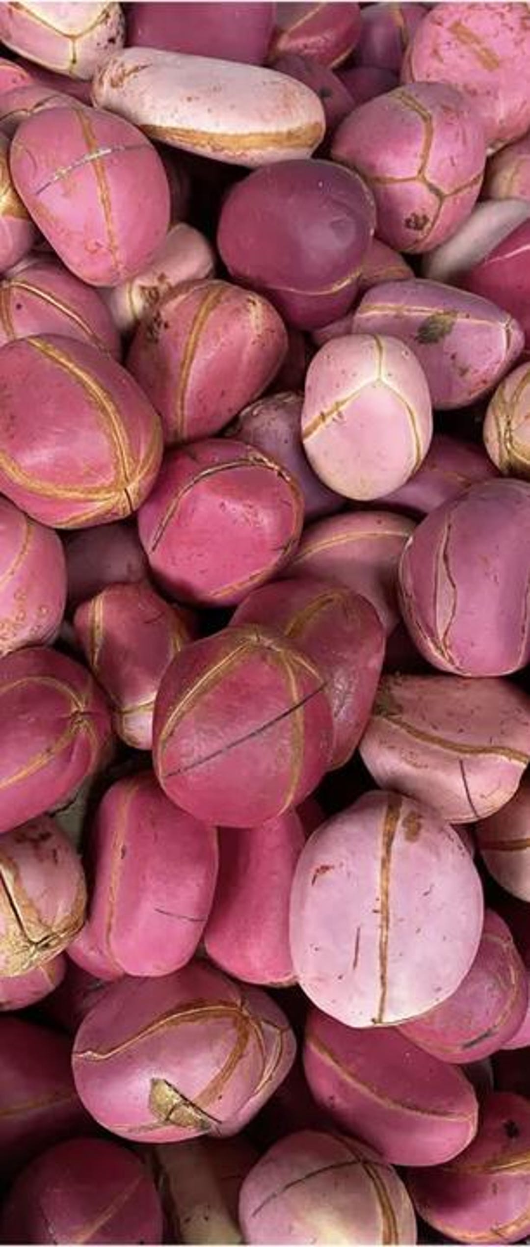 Kola (cola) Acuminata Nuts - 4 and 5 Lobes - Etsy