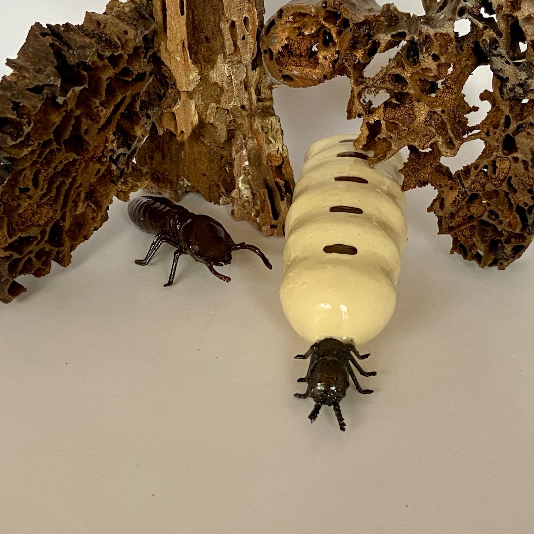 Termite King