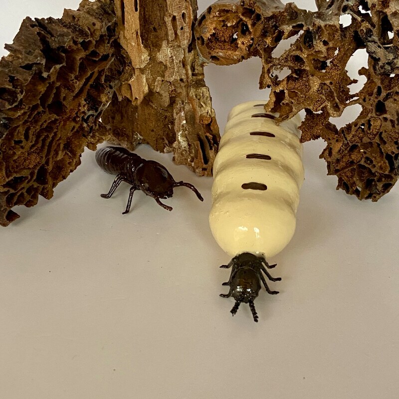 Termite - Etsy