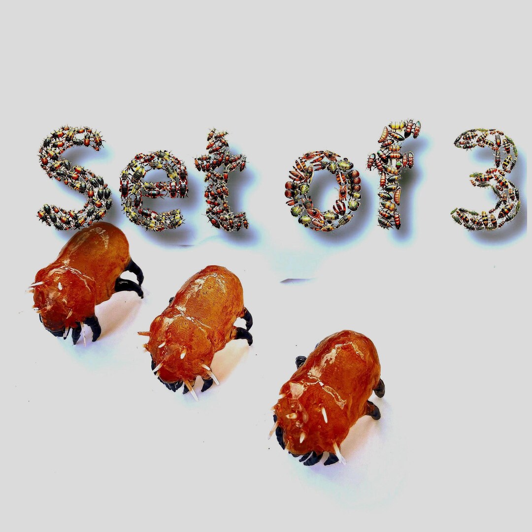 3D Printed Dust Mite Mini Model Set: Translucent Bronze, Educational ...