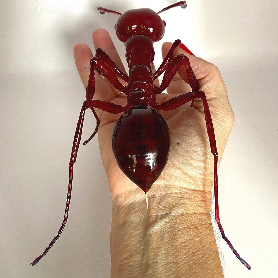 Giant Fire Ant 3D Model, Realistic Photogrammetry Resin, Handcrafted ...