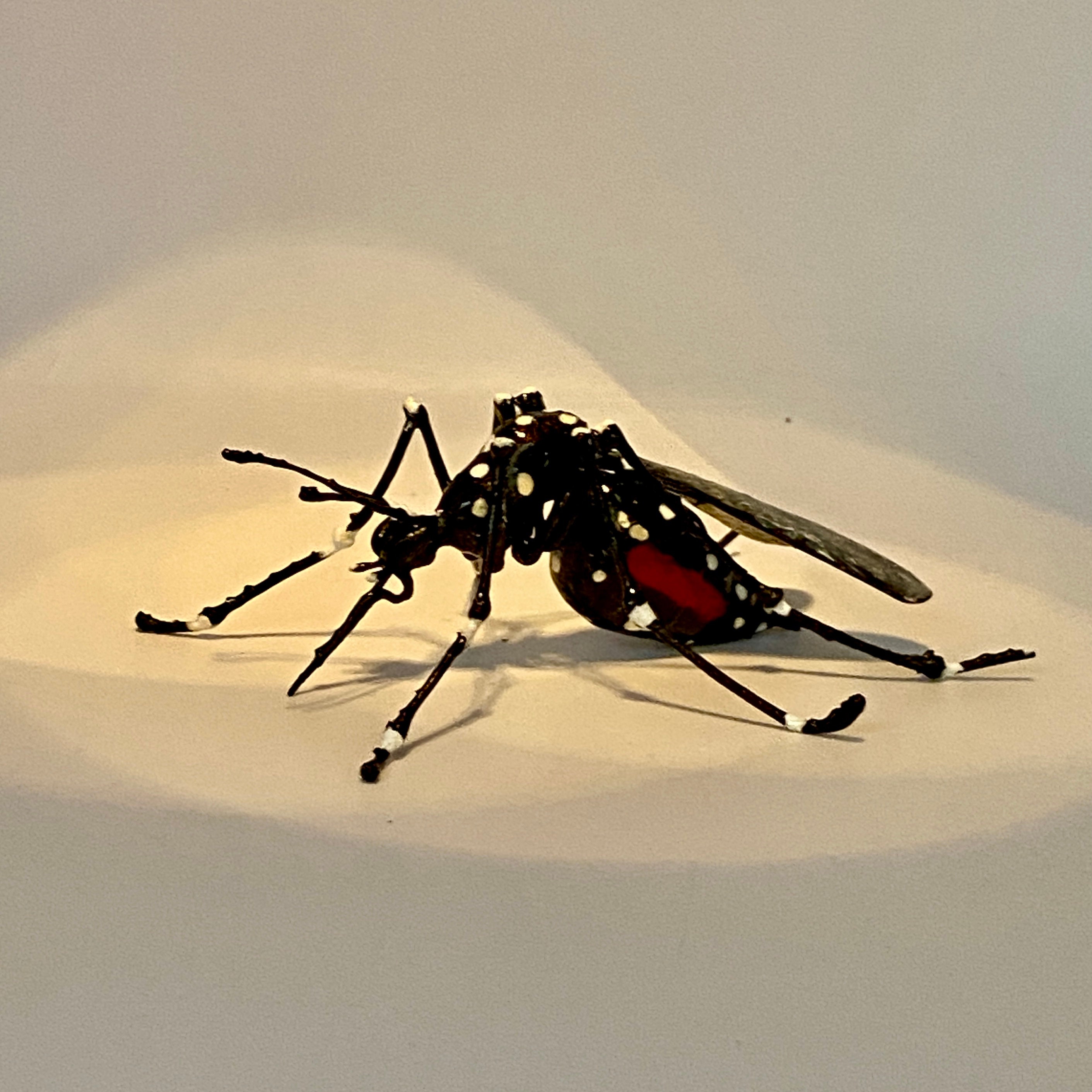 3D Printed Aedes Mosquito Replica: Real World Scale Photogrammetry ...