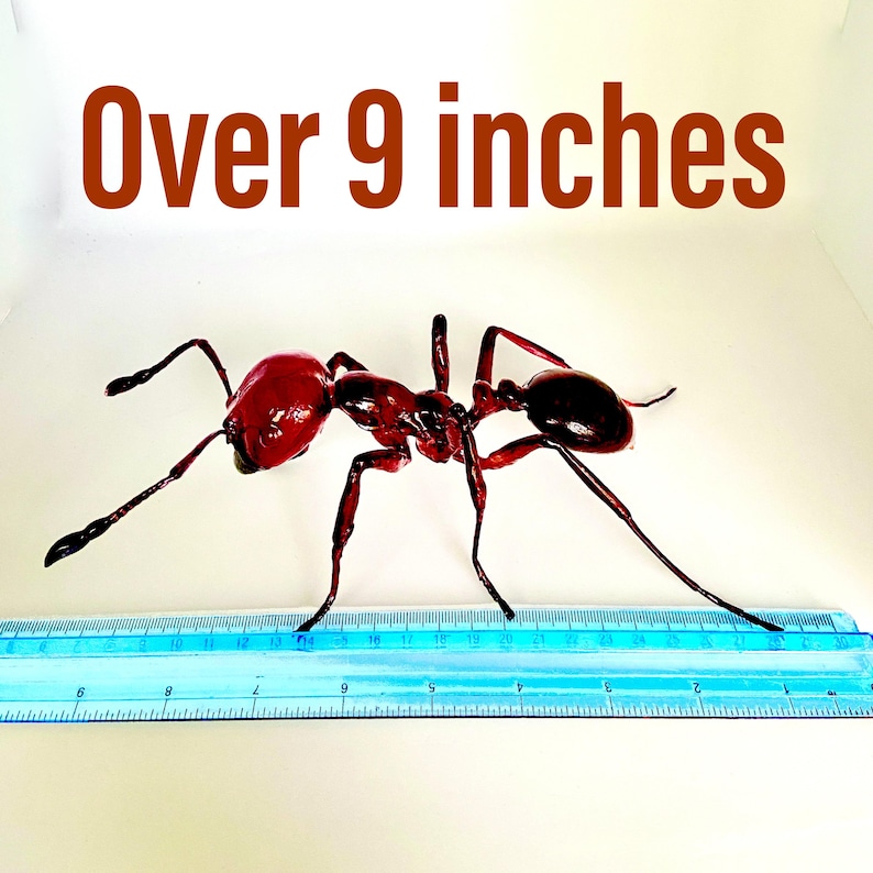Giant Fire Ant 3D Model, Realistic Photogrammetry Resin, Handcrafted ...