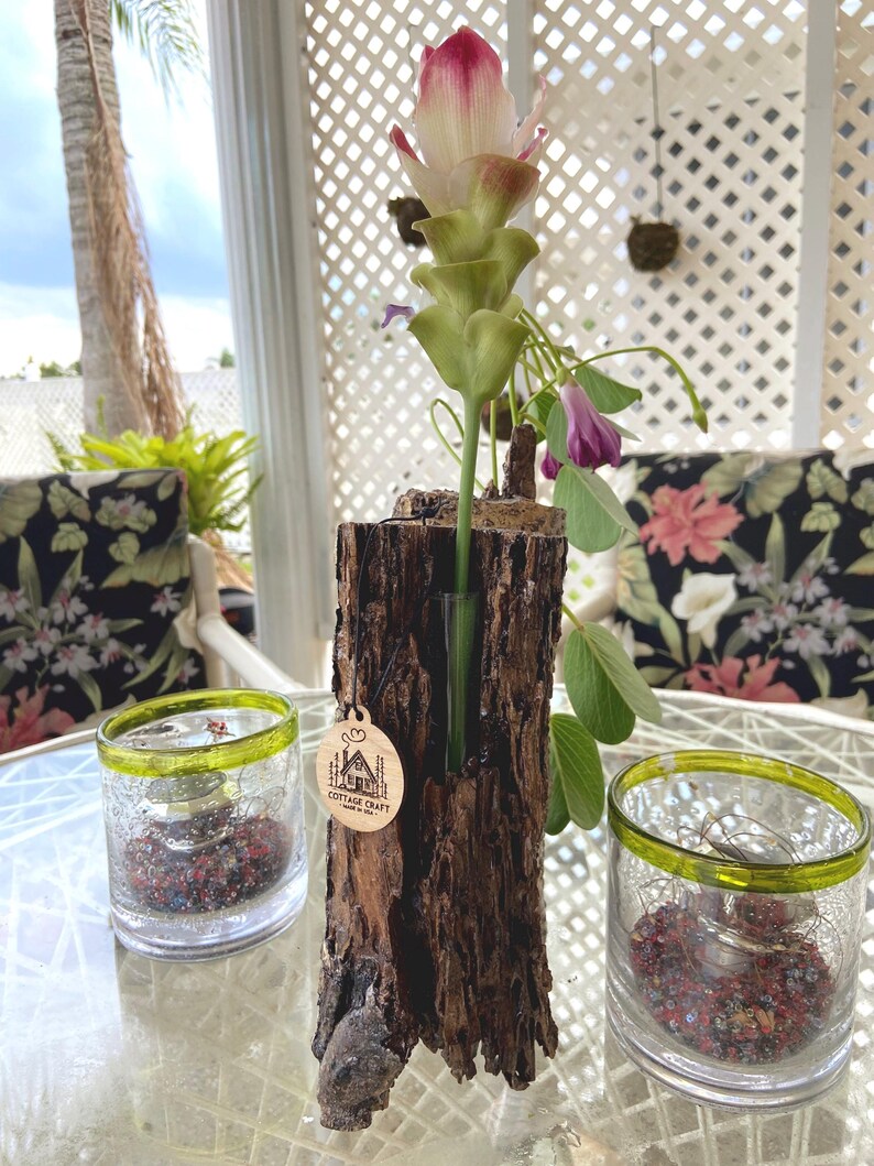 Live Edge Hollow Oak Log Bud Vase. Naturally Sculpted From Termite ...