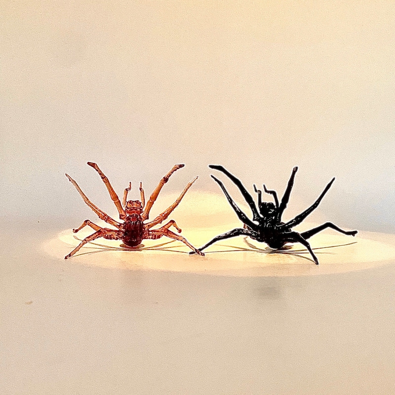 Spider Gag - Etsy