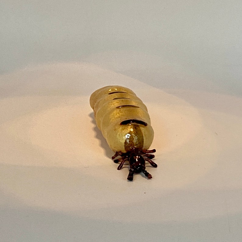 Termite Queen, True to Life Size Acrylic Model. Educational Toys ...