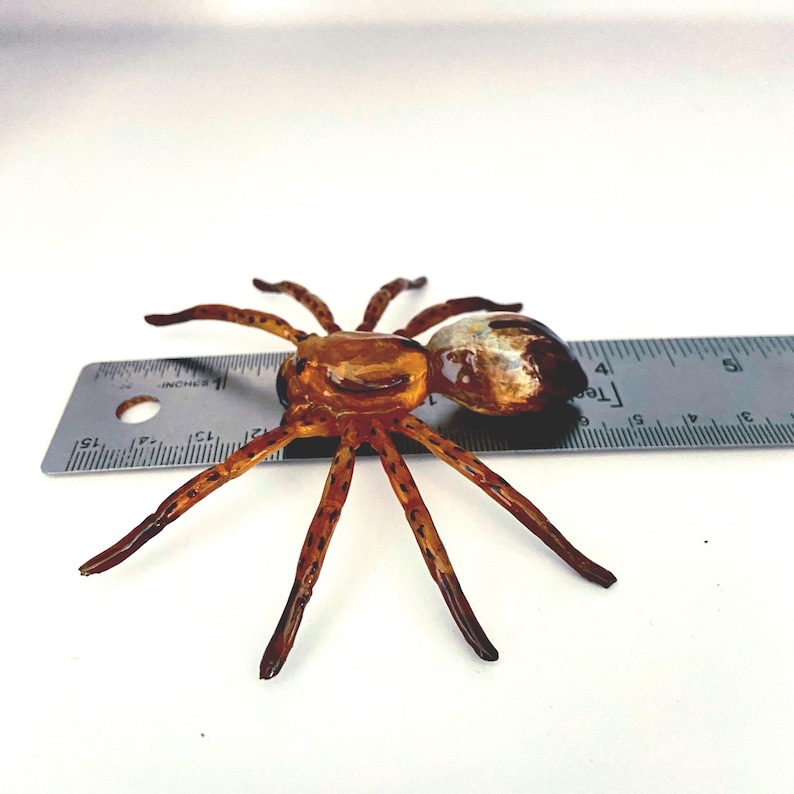 3D Wolf Spider Replica: Realistic 4 Inch Educational Model, Cottage ...