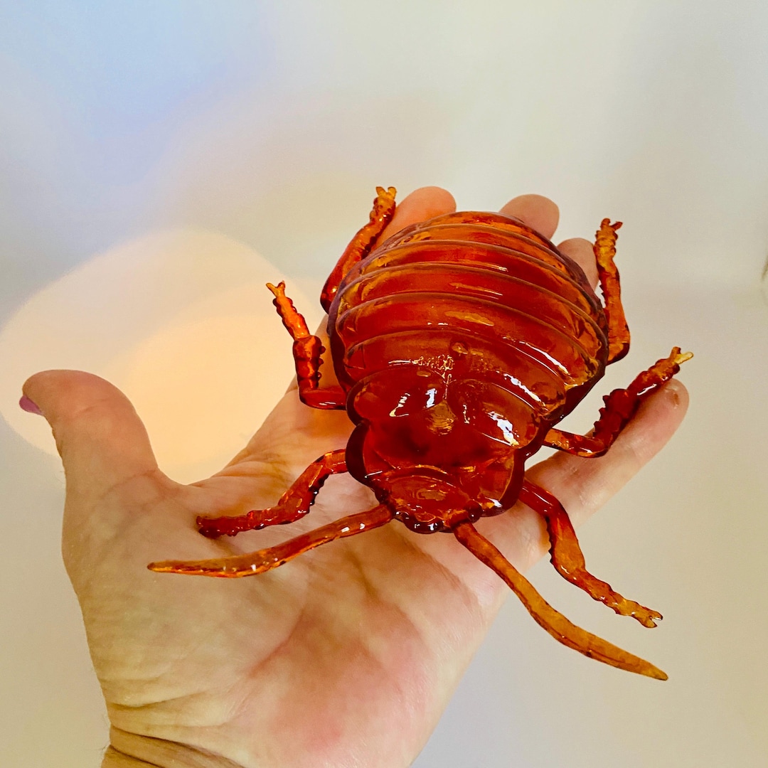 Large 5" 3D Printed Bed Bug Model: Translucent Bronze Resin Replica ...