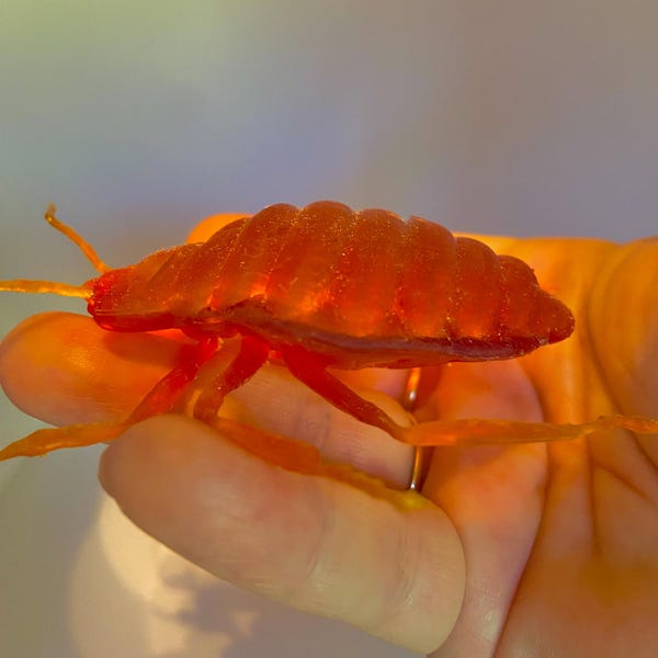 Realistic Bugs Toy - Etsy