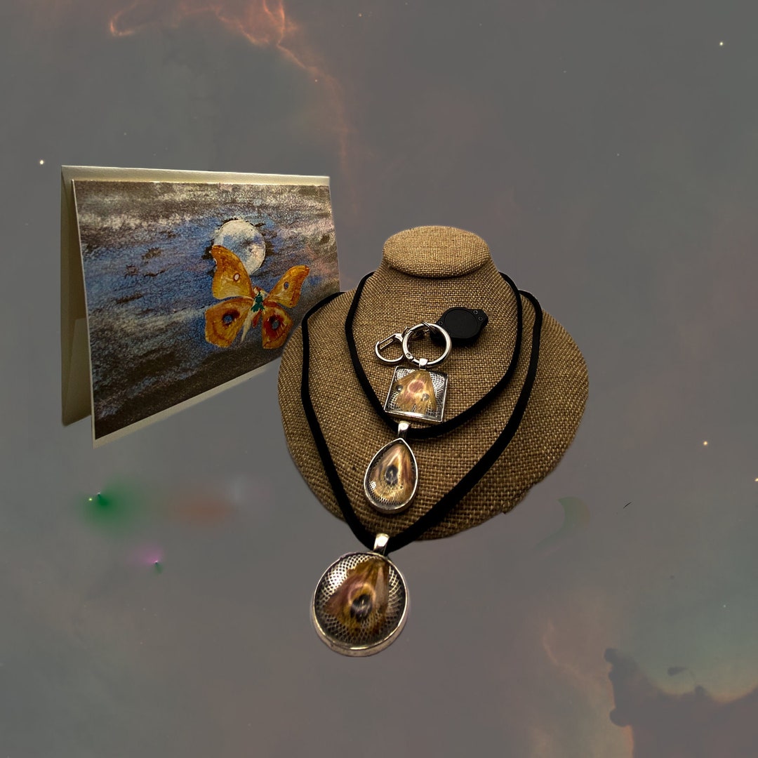 Real Polyphemus Moth Eye Wings Captured Under Glass Cabochon for ...