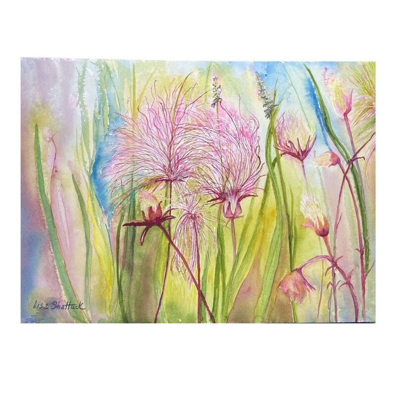 Prairie Smoke - Etsy