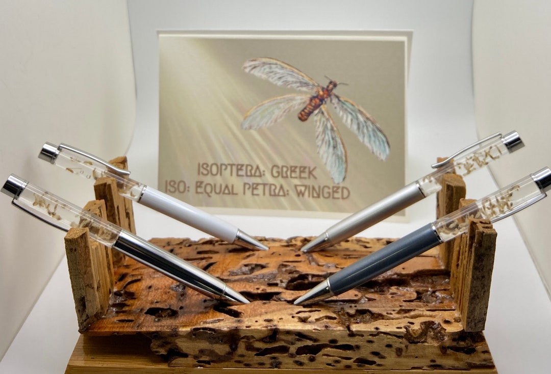 Acrylic Encased Termite Wood Desk Display With 4 Termite Filled Pens ...