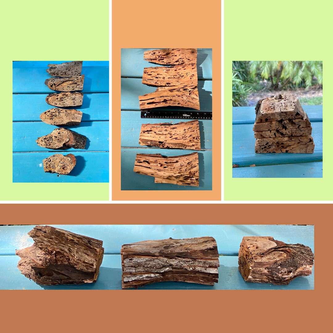 Choice of 3 Sets of Termite Ravaged Oak Logs Sliced in 5-6 Cuts: 6-10 ...