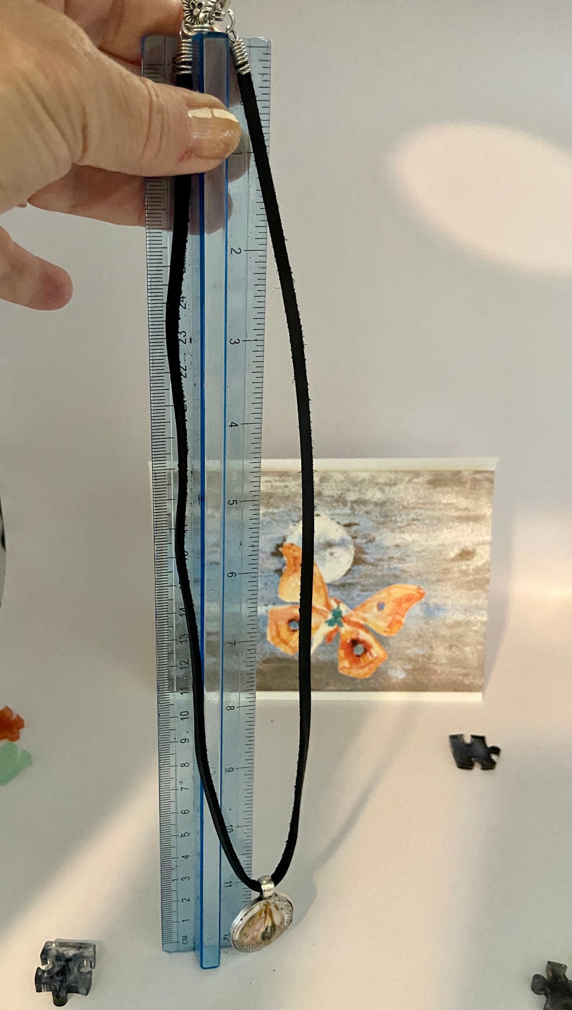 Real Polyphemus Moth Eye Wings Captured in Your Choice of 3 - Etsy