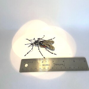 Hand-painted 3D Printed Aedes Mosquito Replica: Pest Control Model - Etsy