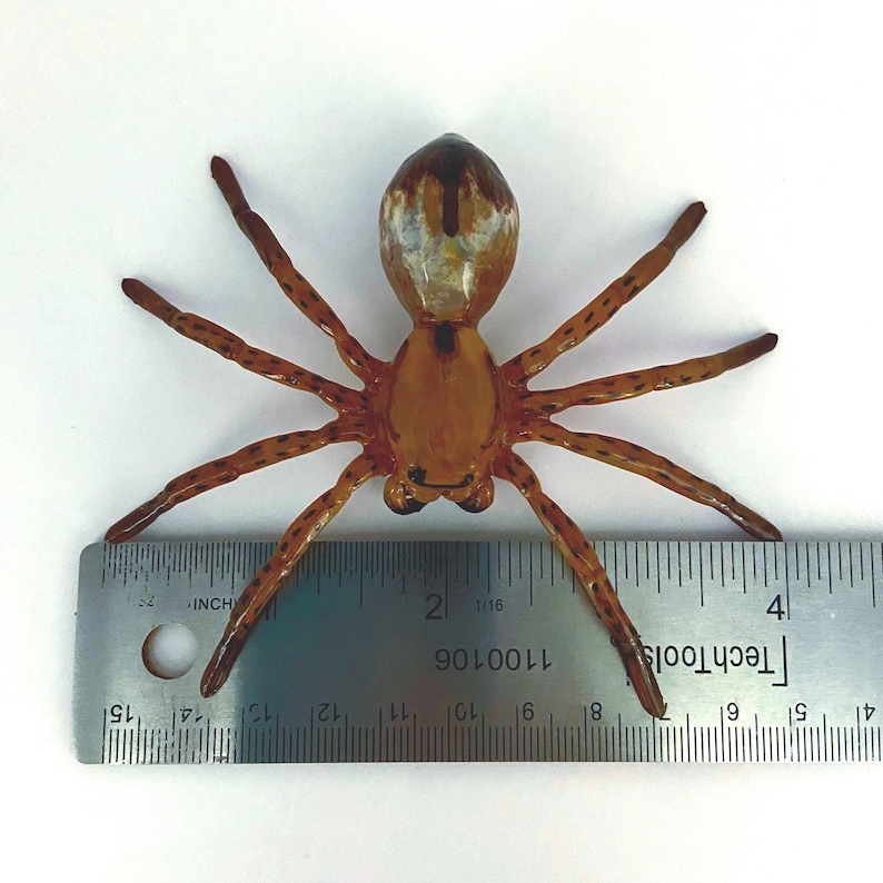 3D Wolf Spider Replica: Realistic 4 Inch Educational Model, Cottage ...