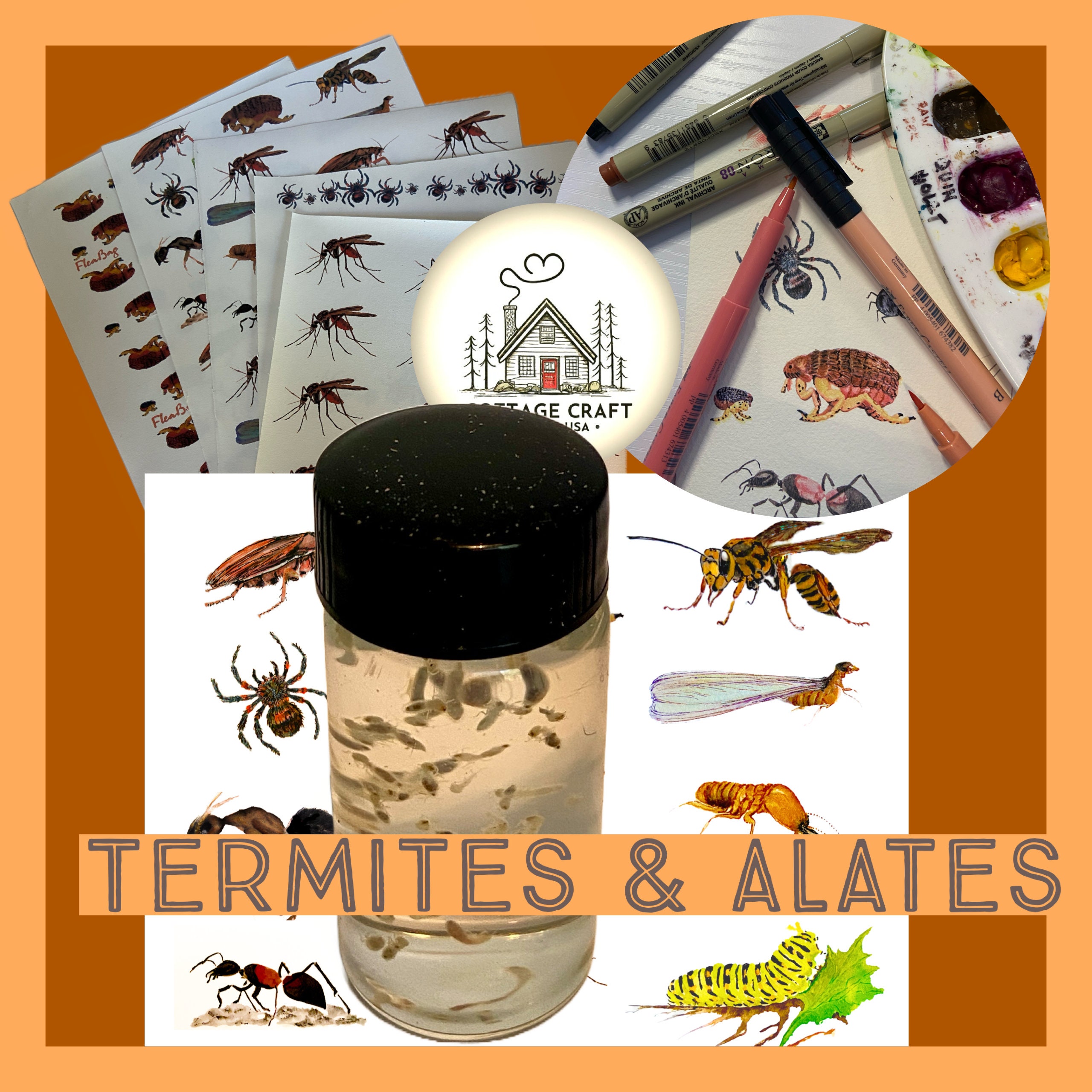 Custom Bug Bag With 1 Suspended Insect Vial: Your Choice of Favorite or ...