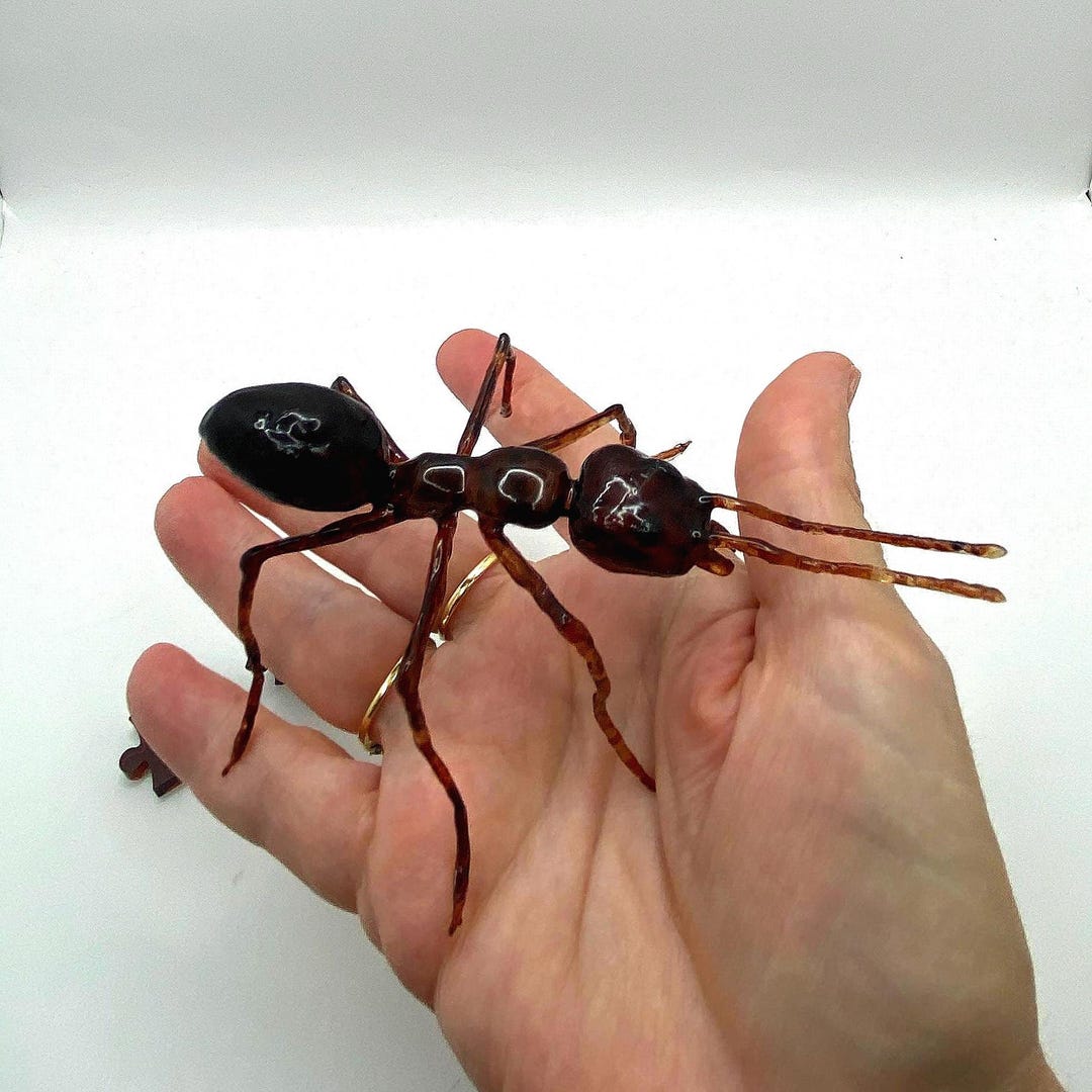 Oversized Argentinian Ant 3D Model: Photopolymer Resin Replica - Etsy