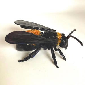 American Bumblebee 3D Print Photogrammetry 3” True to Scale Translucent ...